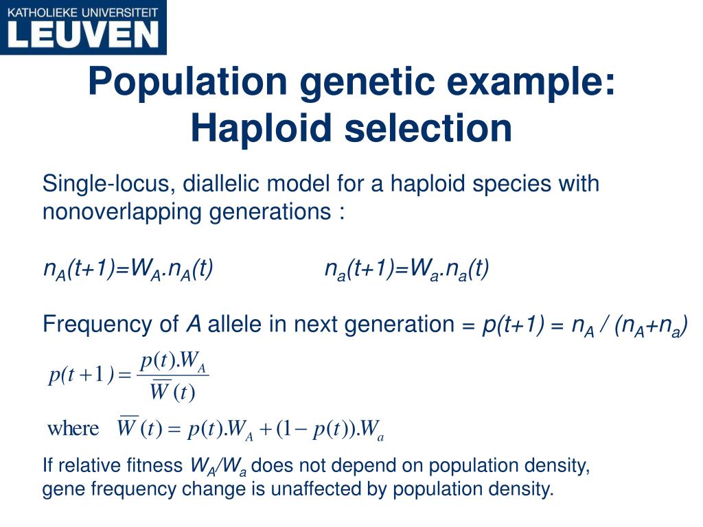 PPT - Tom Wenseleers Dept. of Biology, K.U.Leuven PowerPoint ...