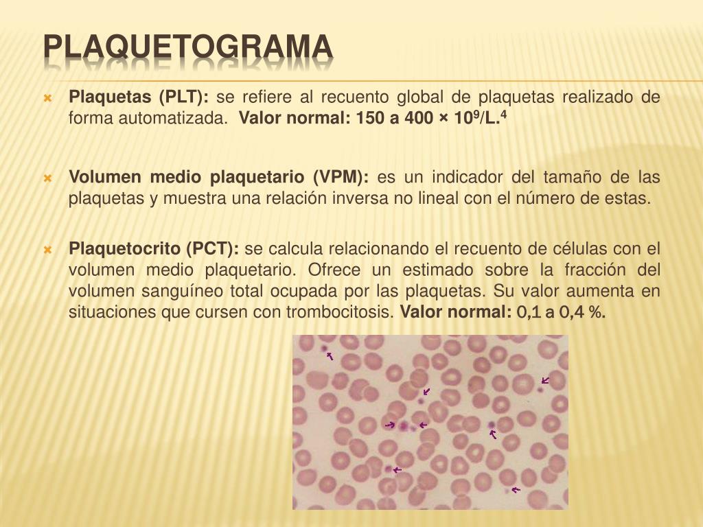 PPT - Universidad de Panamá Facultad de Medicina Escuela de Medicina ...