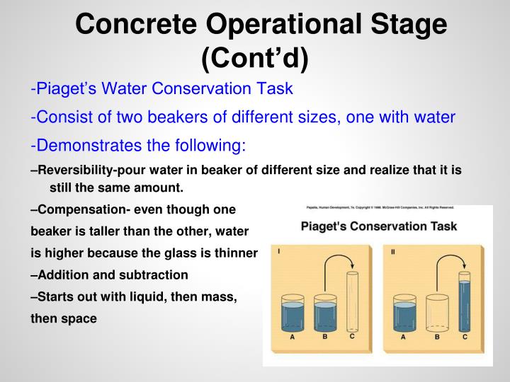 PPT - Jean Piaget: Constructivist & Developmental Theorist PowerPoint ... PPT - Jean Piaget: Constructivist & Developmental Theorist PowerPoint ...