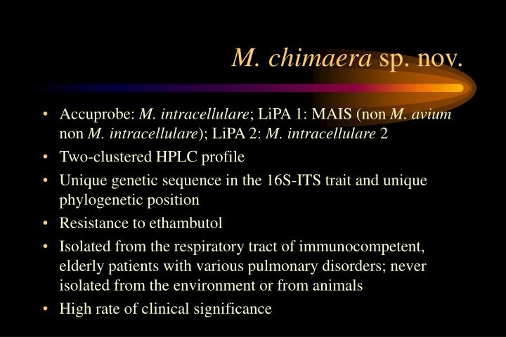 PPT - Mycobacterium chimaera sp. nov . PowerPoint Presentation - ID:3136321