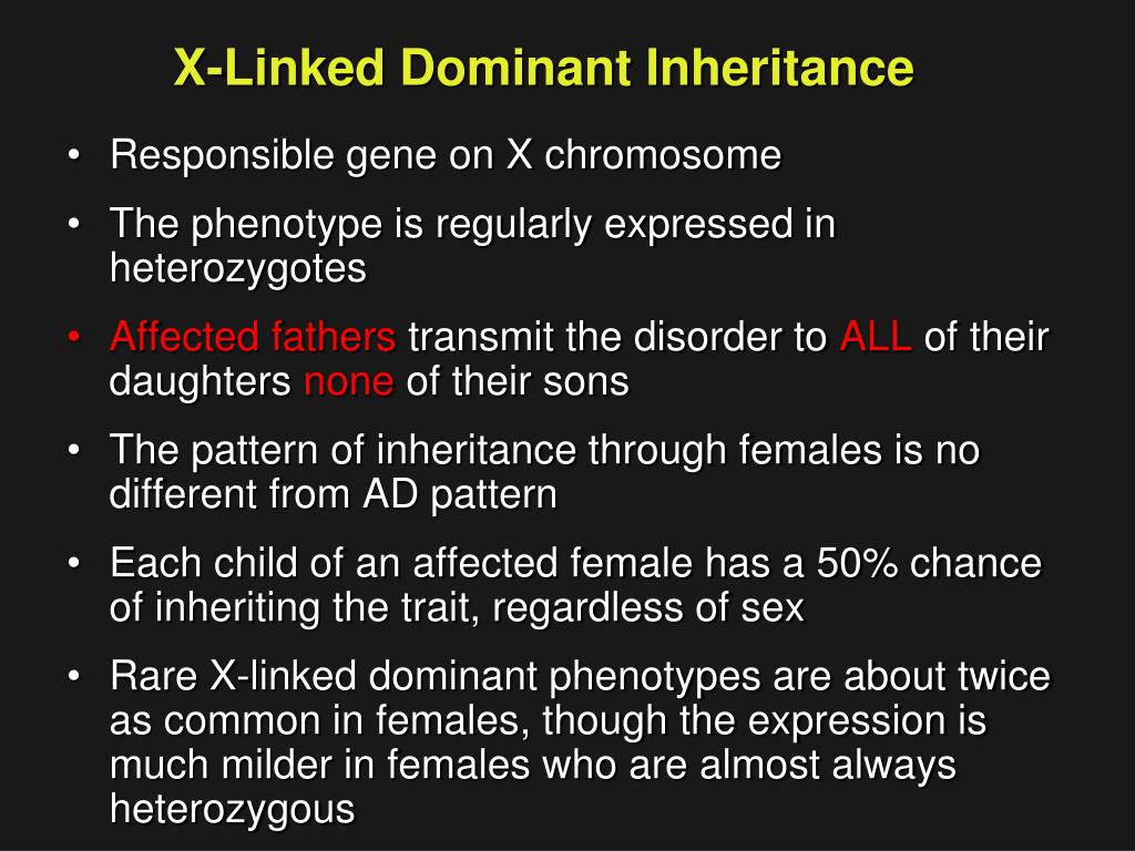 PPT - X-Linked Inheritance PowerPoint Presentation, free download - ID ... PPT - X-Linked Inheritance PowerPoint Presentation, free download - ID ...