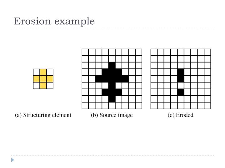 PPT - Morphology PowerPoint Presentation - ID:3137407