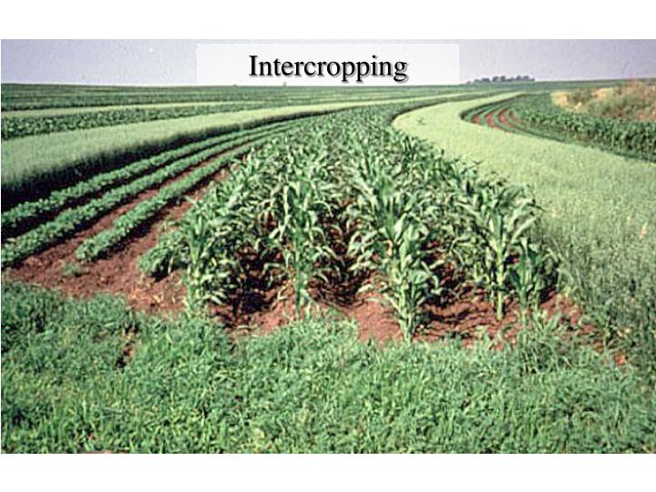 PPT - Soil Conservation PowerPoint Presentation - ID:3137853