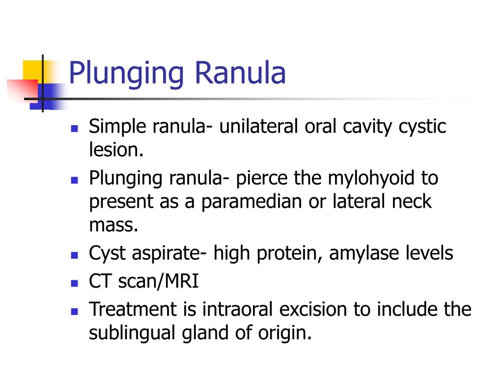 PPT - Embryology of the Neck & Neck Masses PowerPoint Presentation - ID ...