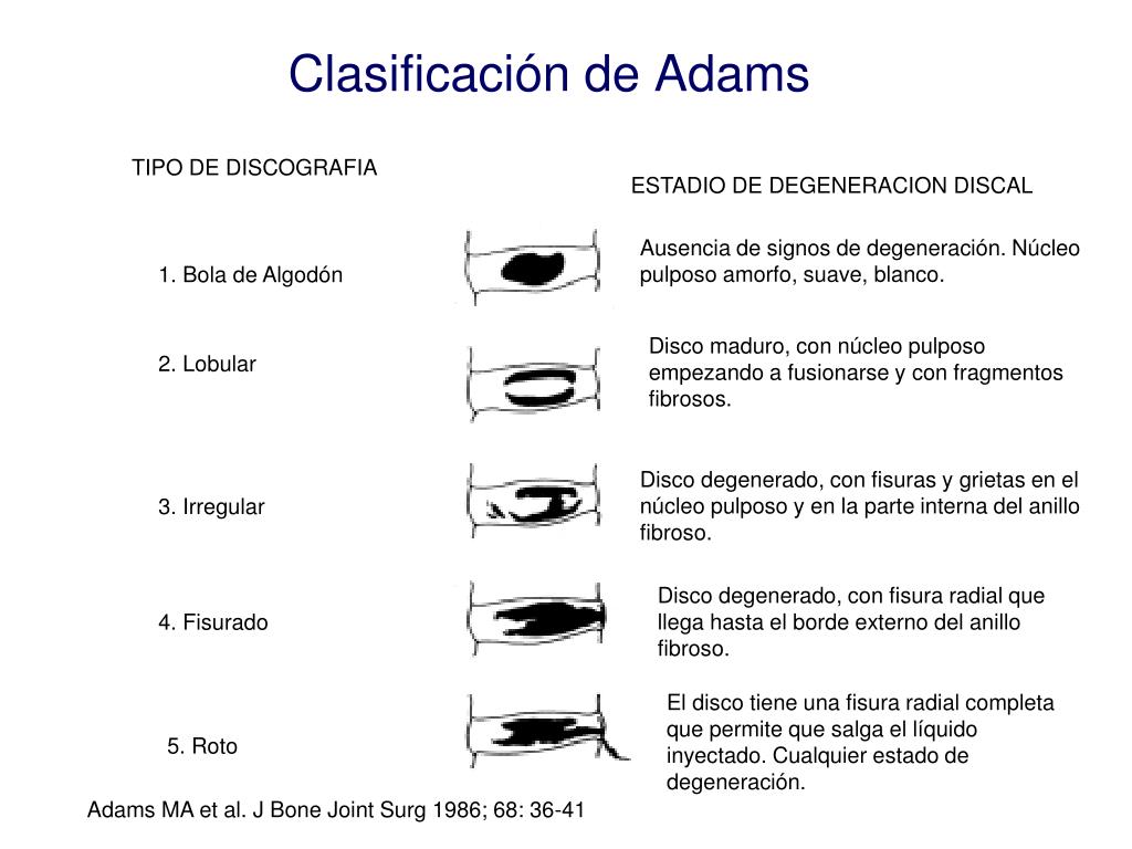 PPT - Dra. Flora del Carmen Ojeda Ornelas Dr. Gerardo Rodríguez Duarte ...