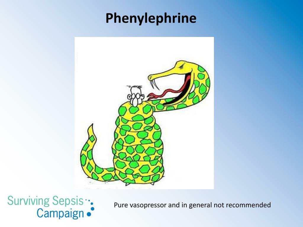 PPT - R. Phillip Dellinger, MD, MCCM, FCCP Acting Chair & Chief of ...