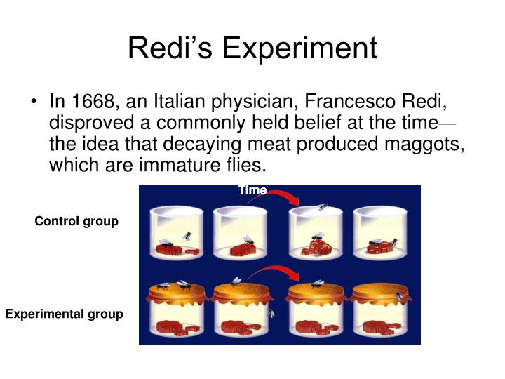 PPT - 14.2 Section Objectives – page 380 PowerPoint Presentation - ID ...