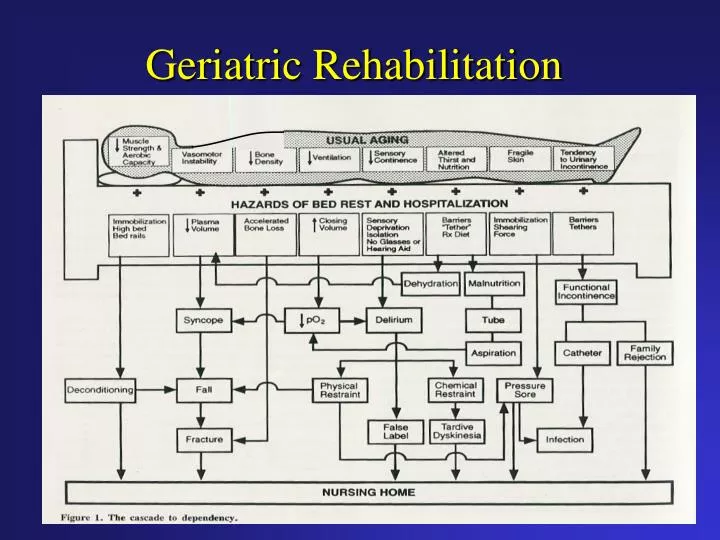 PPT - Geriatric Rehabilitation PowerPoint Presentation, free download ...