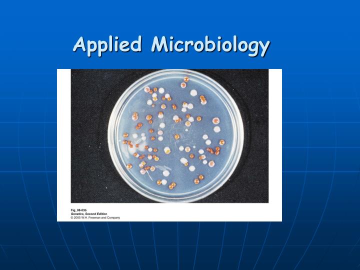 PPT - Applied Microbiology PowerPoint Presentation - ID:3139039