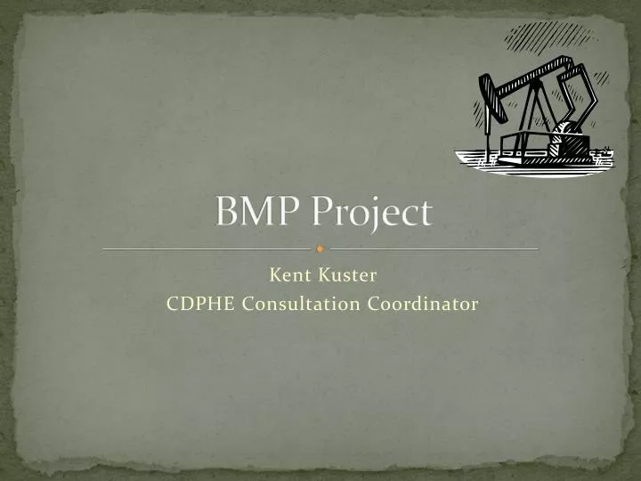 PPT - BMP Project PowerPoint Presentation, free download - ID:3139400