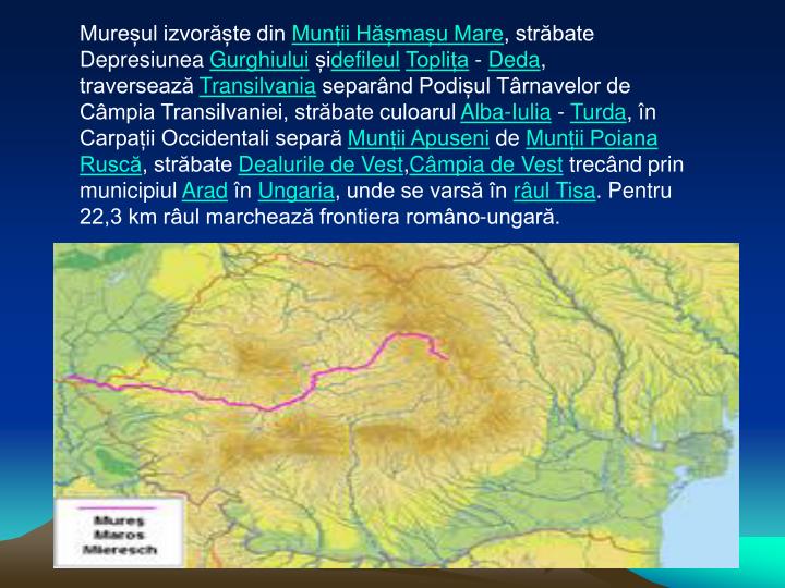 PPT - Raul Mures PowerPoint Presentation - ID:3139515