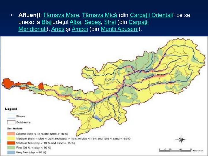 PPT - Raul Mures PowerPoint Presentation - ID:3139515