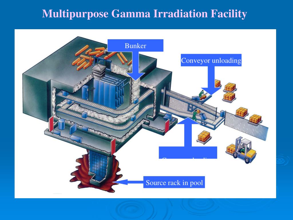 PPT - Establishment of a Multipurpose Gamma Irradiation Facility (MGIF ...