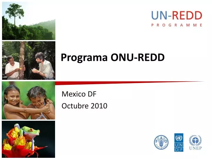 PPT - Programa ONU-REDD PowerPoint Presentation, free download - ID:3139905