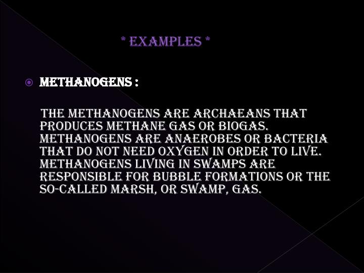 PPT - Archaebacteria PowerPoint Presentation - ID:3139941