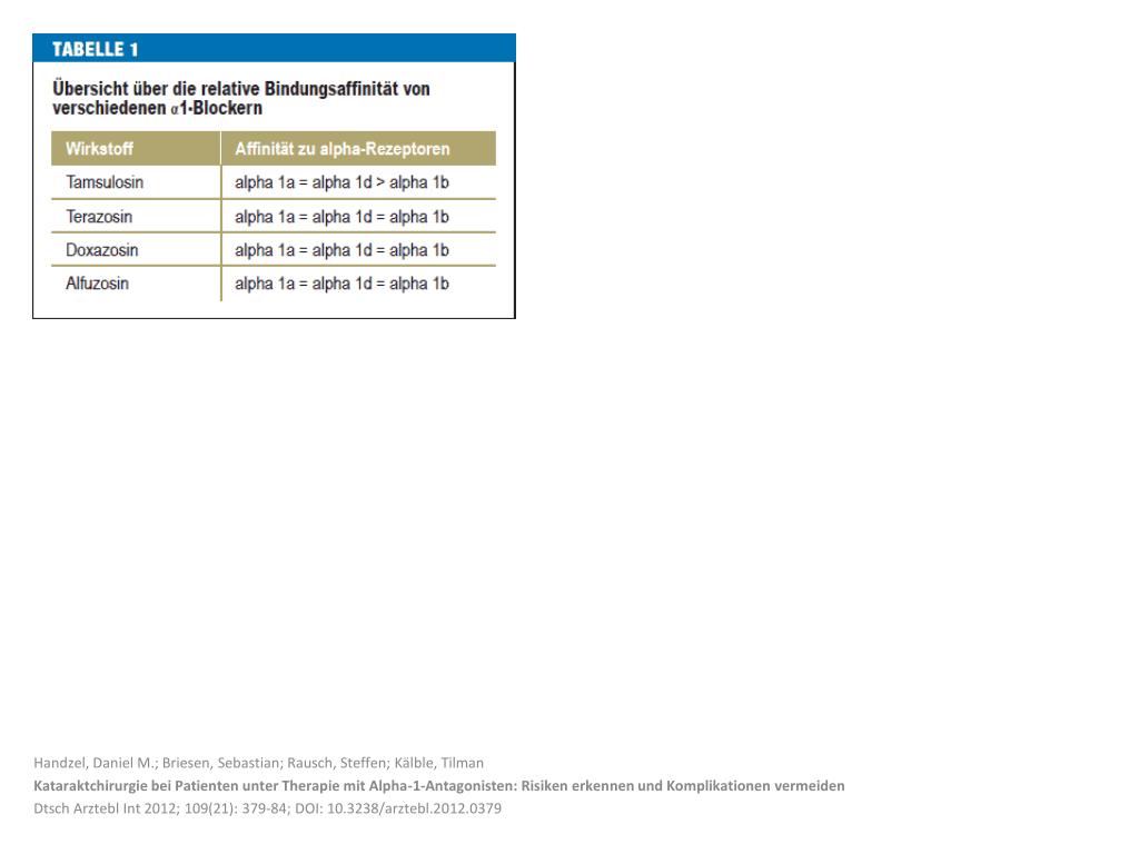 PPT - Handzel , Daniel M.; Briesen, Sebastian; Rausch, Steffen; Kälble ...