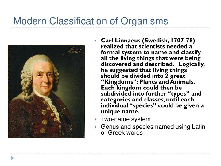 PPT - Classification of Living Things PowerPoint Presentation - ID:3139947