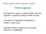 PPT - Classification of Living Things PowerPoint Presentation - ID:3139947