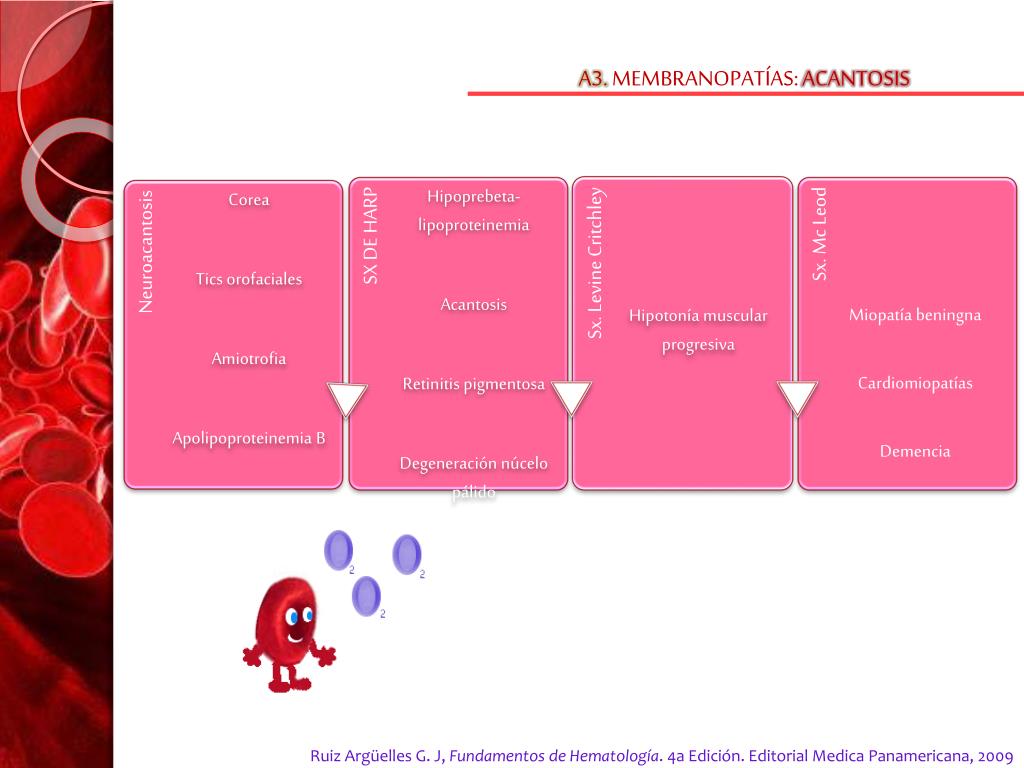 PPT - ANEMIAS HEMOLÍTICAS CONGÉNITAS PowerPoint Presentation, free ...