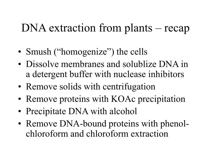 PPT - DNA extraction from plants – recap PowerPoint Presentation, free ...