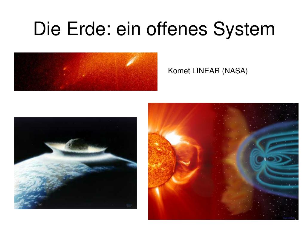 PPT - „Einführung in die Zoologie, Teil Tierphysiologie und Verhalten ...