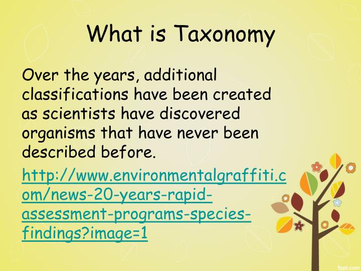 PPT - Taxonomy PowerPoint Presentation - ID:3140943