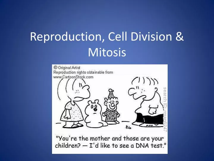 PPT - Reproduction, Cell Division & Mitosis PowerPoint Presentation ...