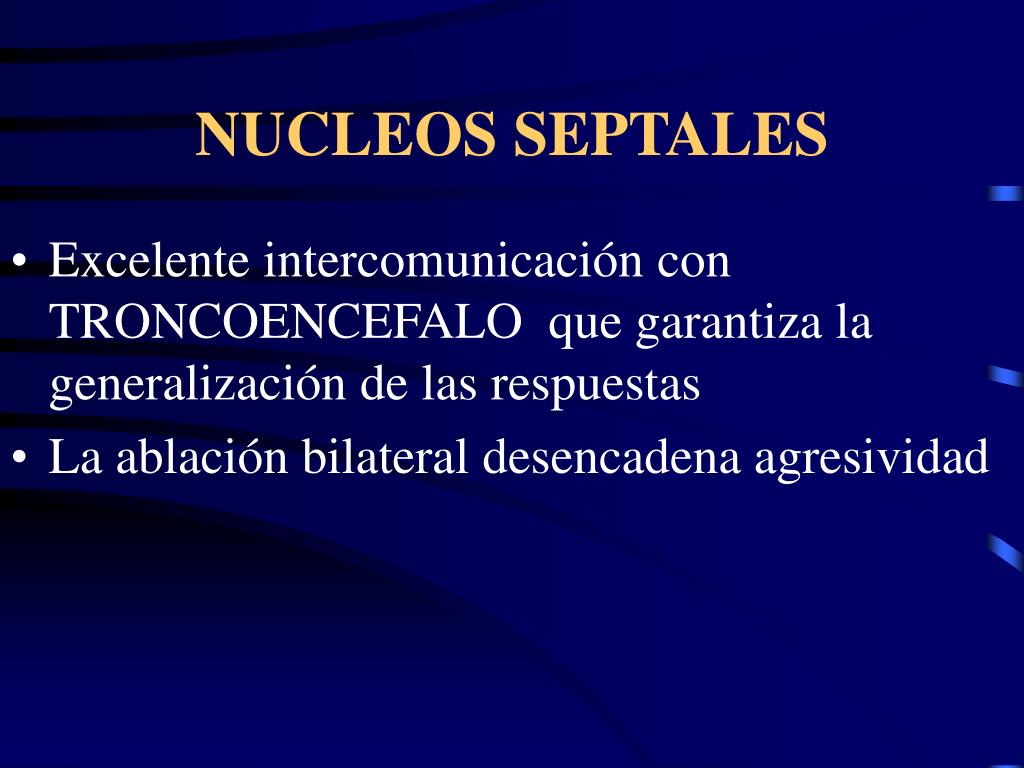 PPT - FUNDAMENTOS PSICOFISIOLÓGICOS DEL MIEDO Y LA ANSIEDAD PowerPoint ...