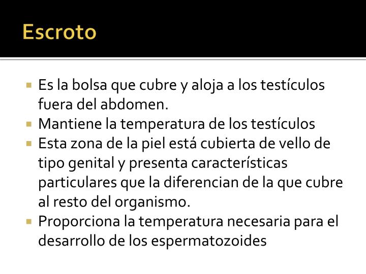 PPT - Sistema Reproductor PowerPoint Presentation - ID:3141832