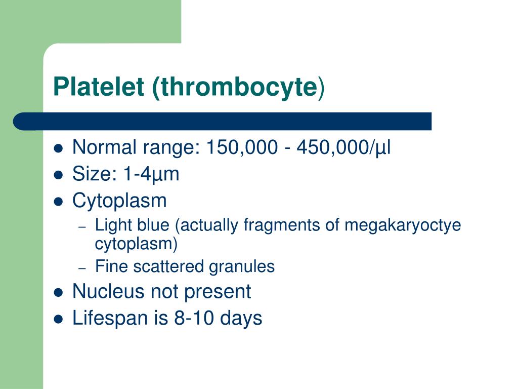 PPT - MLAB1315- Hematology Keri Brophy-Martinez PowerPoint Presentation ...