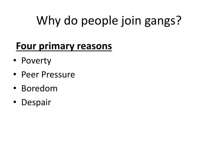 PPT - Street Gangs in America PowerPoint Presentation - ID:3142752