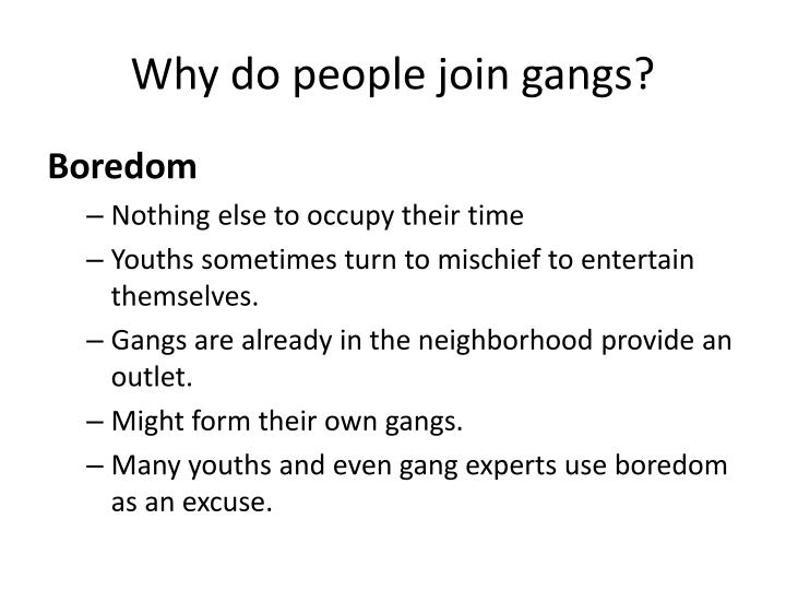 PPT - Street Gangs in America PowerPoint Presentation - ID:3142752