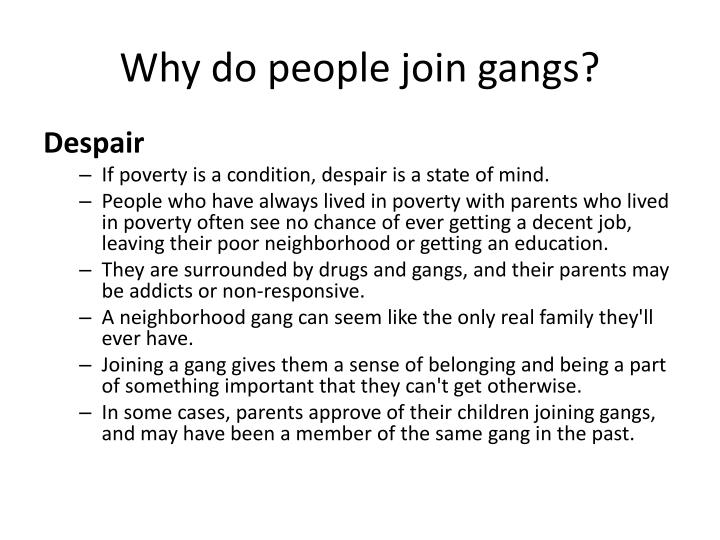 PPT - Street Gangs in America PowerPoint Presentation - ID:3142752