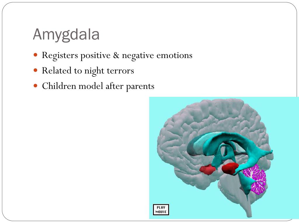 PPT - Early Childhood: Age 2 to 6 Biosocial Development PowerPoint ...