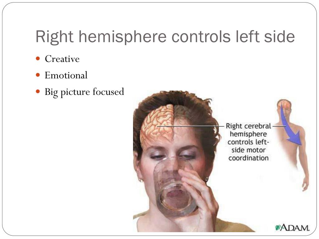 PPT - Early Childhood: Age 2 to 6 Biosocial Development PowerPoint ...