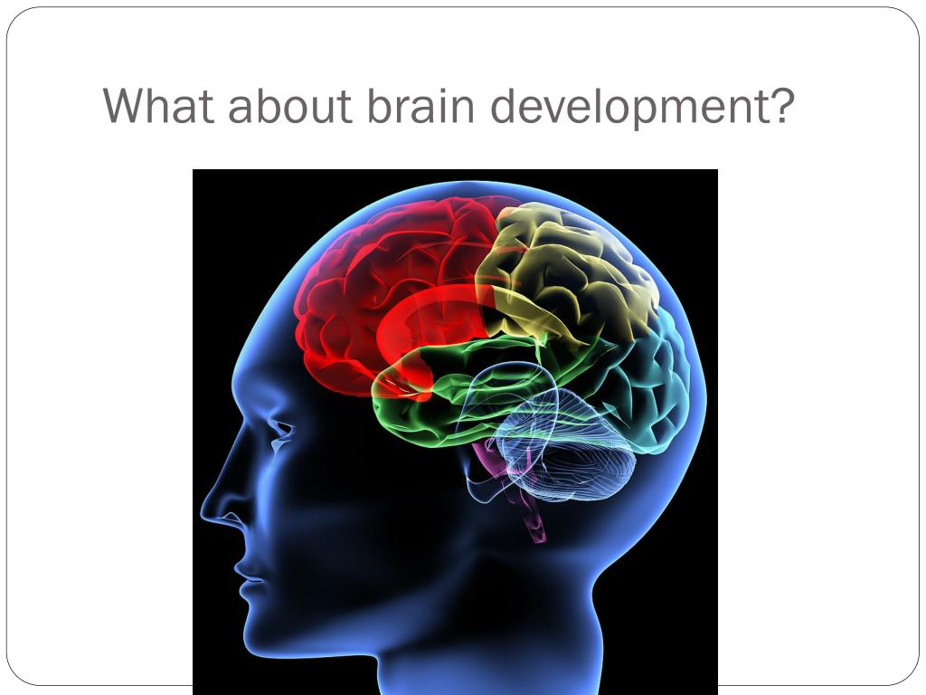 PPT - Early Childhood: Age 2 to 6 Biosocial Development PowerPoint ...