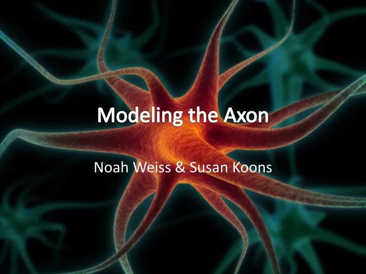 PPT - Modeling the Axon PowerPoint Presentation, free download - ID:3143072