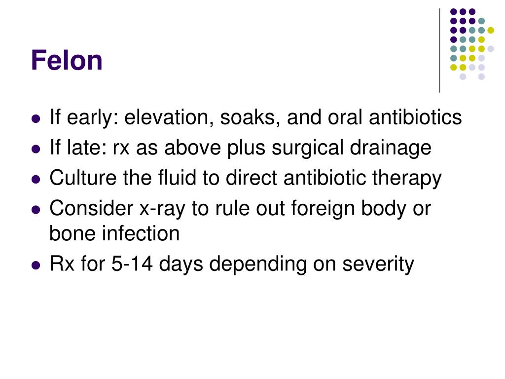 PPT - Soft Tissue & Musculoskeletal Infections in the Primary Care ...