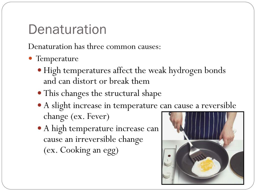 PPT - Biology 12 PowerPoint Presentation, free download - ID:3143996