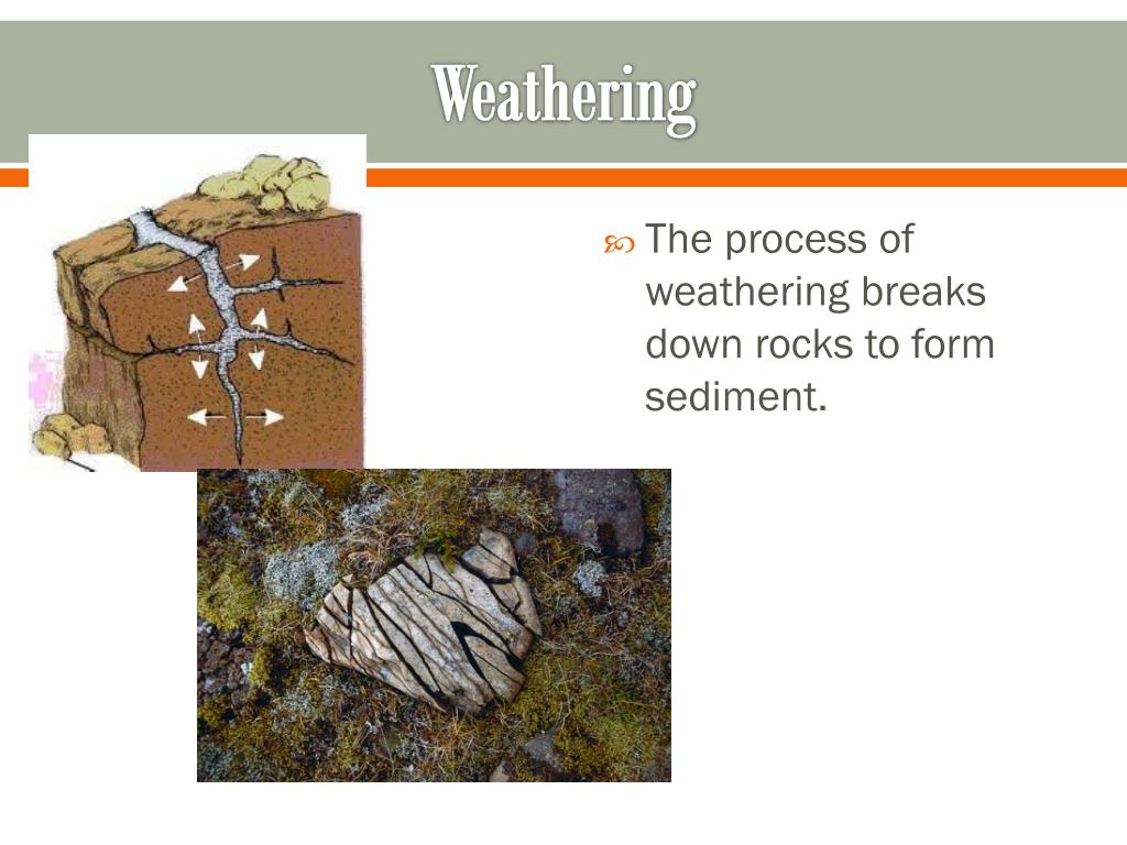 PPT - Air, Land, and Water PowerPoint Presentation, free download - ID ...