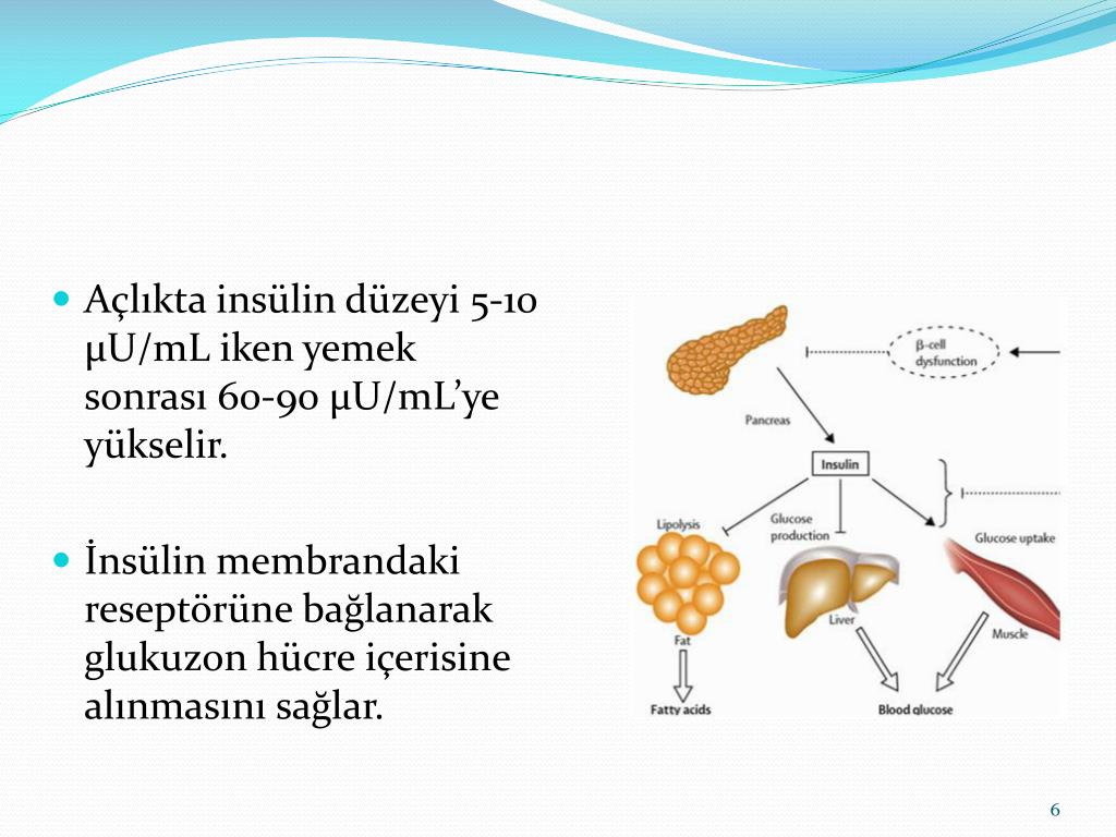 PPT - ÇEŞİTLİ BESİNLERİN KAN GLUKOZ DÜZEYİ ÜZERİNE ETKİSİ PowerPoint ...