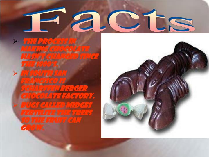 PPT - Facts About Chocolate PowerPoint Presentation - ID:3144917