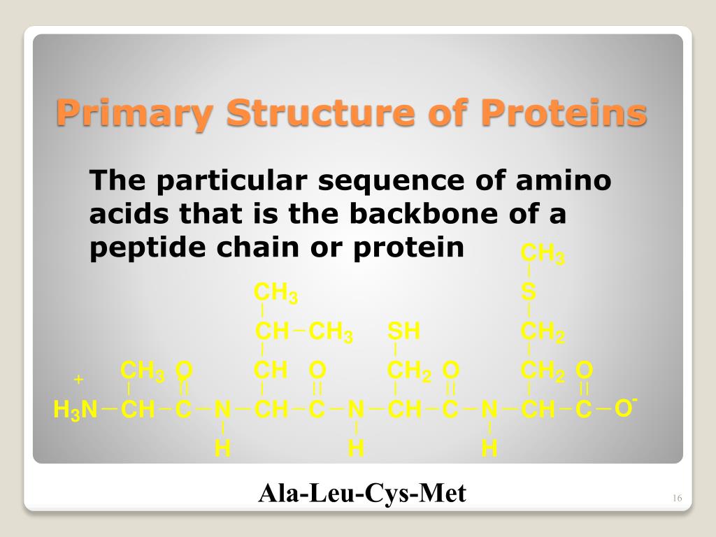 PPT - Amino Acids Proteins, and Enzymes PowerPoint Presentation, free ...