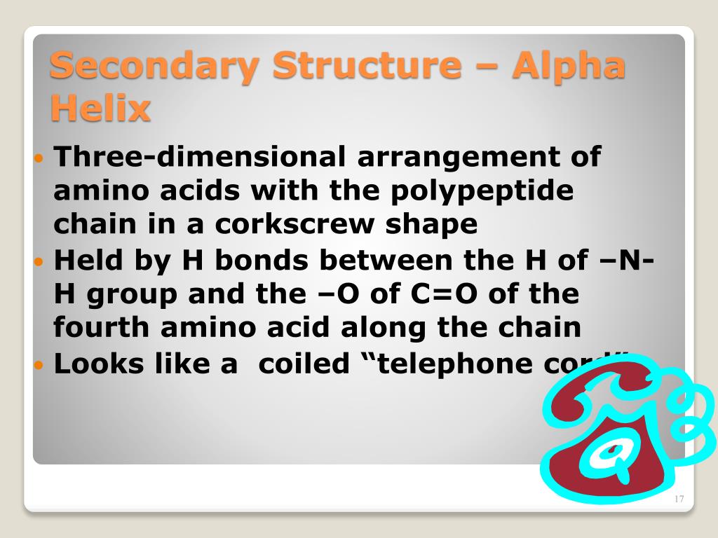 PPT - Amino Acids Proteins, and Enzymes PowerPoint Presentation, free ...