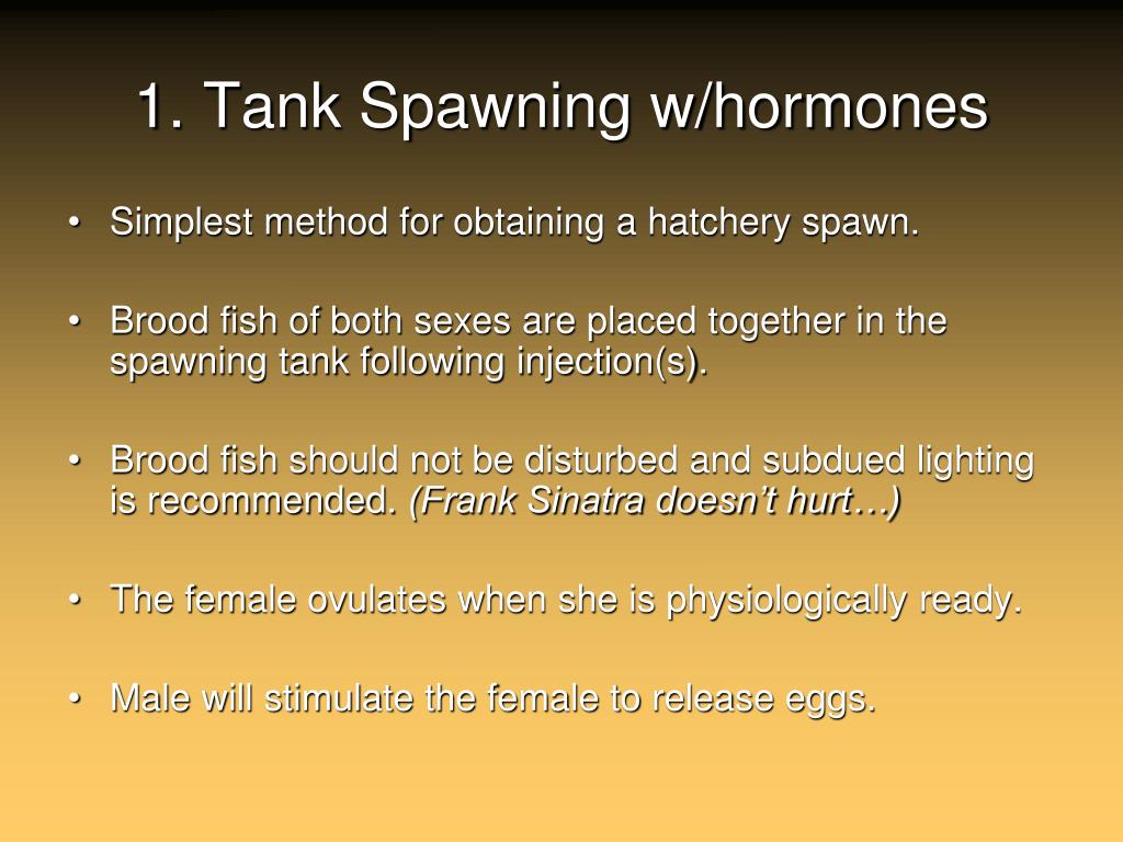 PPT - Hormones in Aquacultre/Fish Reproduction PowerPoint Presentation ...