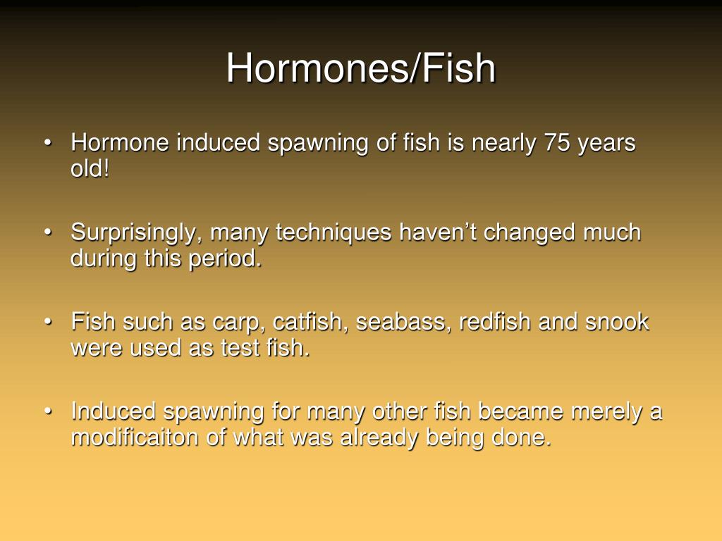 PPT - Hormones in Aquacultre/Fish Reproduction PowerPoint Presentation ...