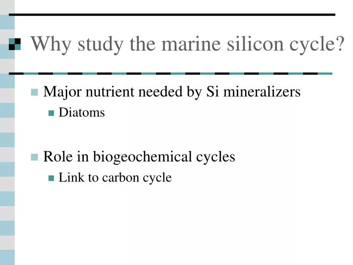 PPT - Why study the marine silicon cycle? PowerPoint Presentation, free ...