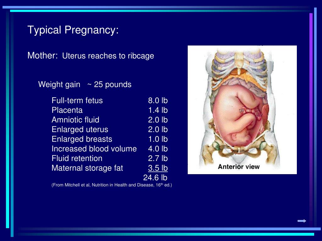 PPT - HUMAN REPRODUCTION BIOLOGY 269 PowerPoint Presentation, free ...