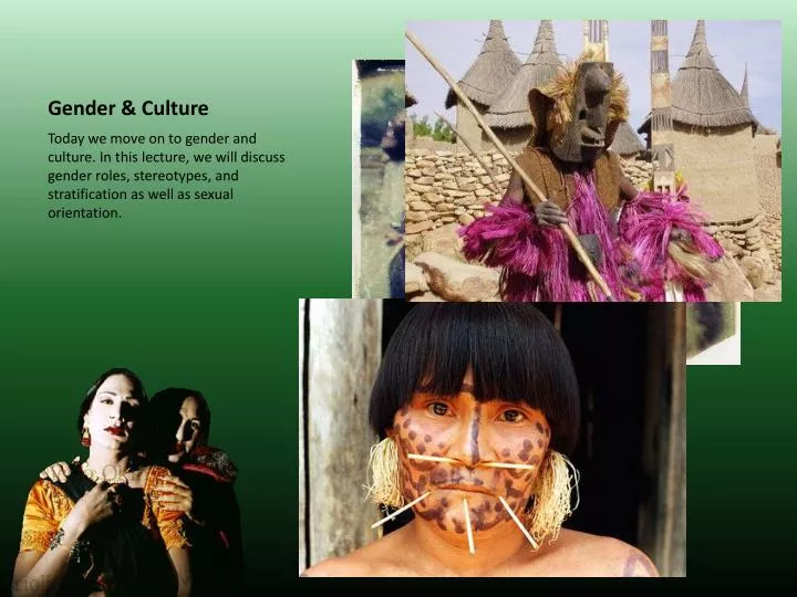 PPT - Gender & Culture PowerPoint Presentation, free download - ID:3146819
