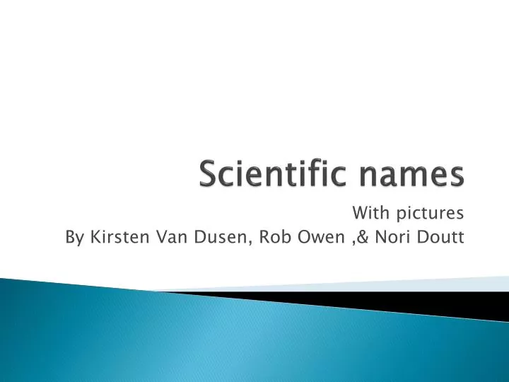 PPT - Scientific names PowerPoint Presentation, free download - ID:3147189